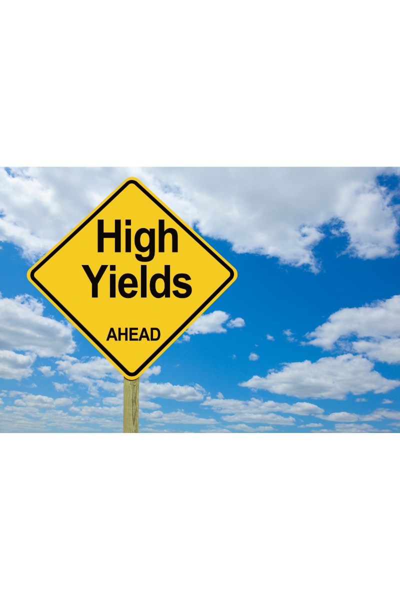 SBF, FTX, and Real Yield | CoinBusters